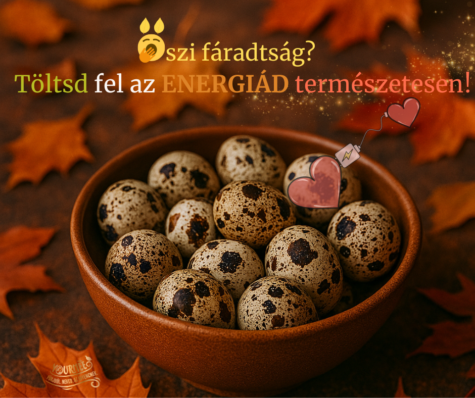 Őszi fáradtság ellen – így támogasd a szervezeted természetesen!